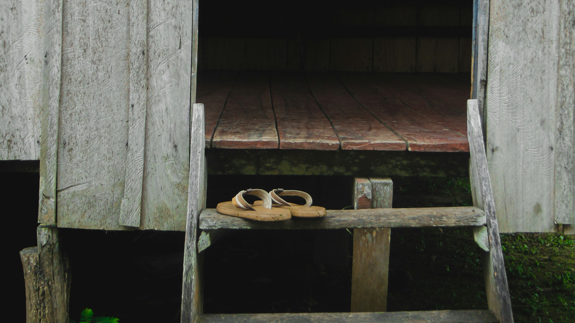 “I am not an Indian” and other poems - Latin American Literature Today